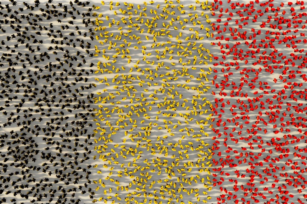 Proximus and Orange Belgium opt for Comarch to manage, operate JV ...