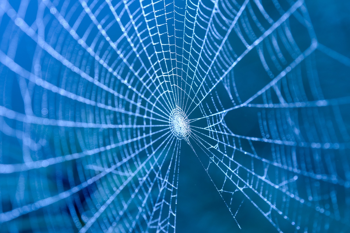 Orange Business Services and Cisco team up on SD-LAN - Mobile Europe