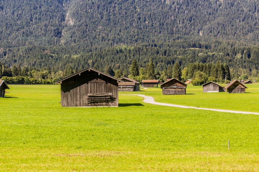 Telekom Deutschland, O2’s joint effort to improve rural 4G finally goes ...