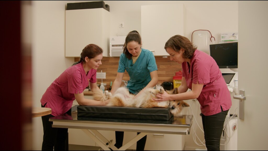 Nokia and KPN hit 20 Gbps in Rotterdam field trial - Mobile Europe