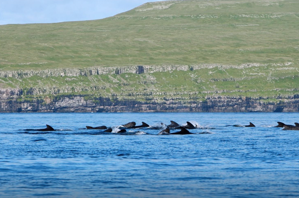 Ericsson Denmark breaks speed record and powers through the indecision ...