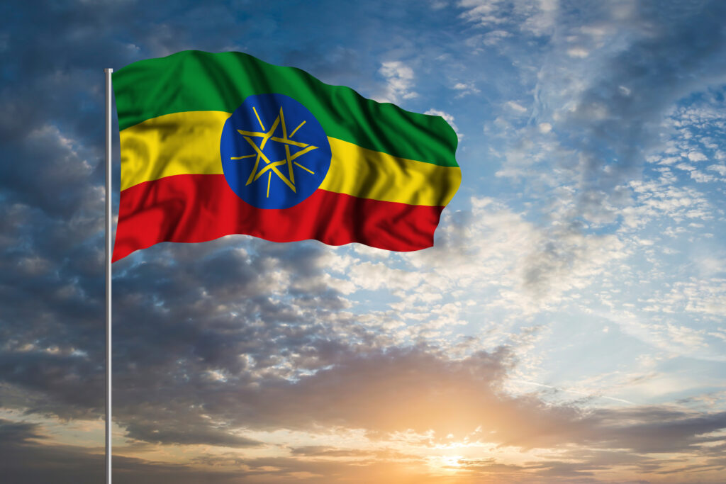Ethio Telecom announces double annual profit ahead of stake sale ...