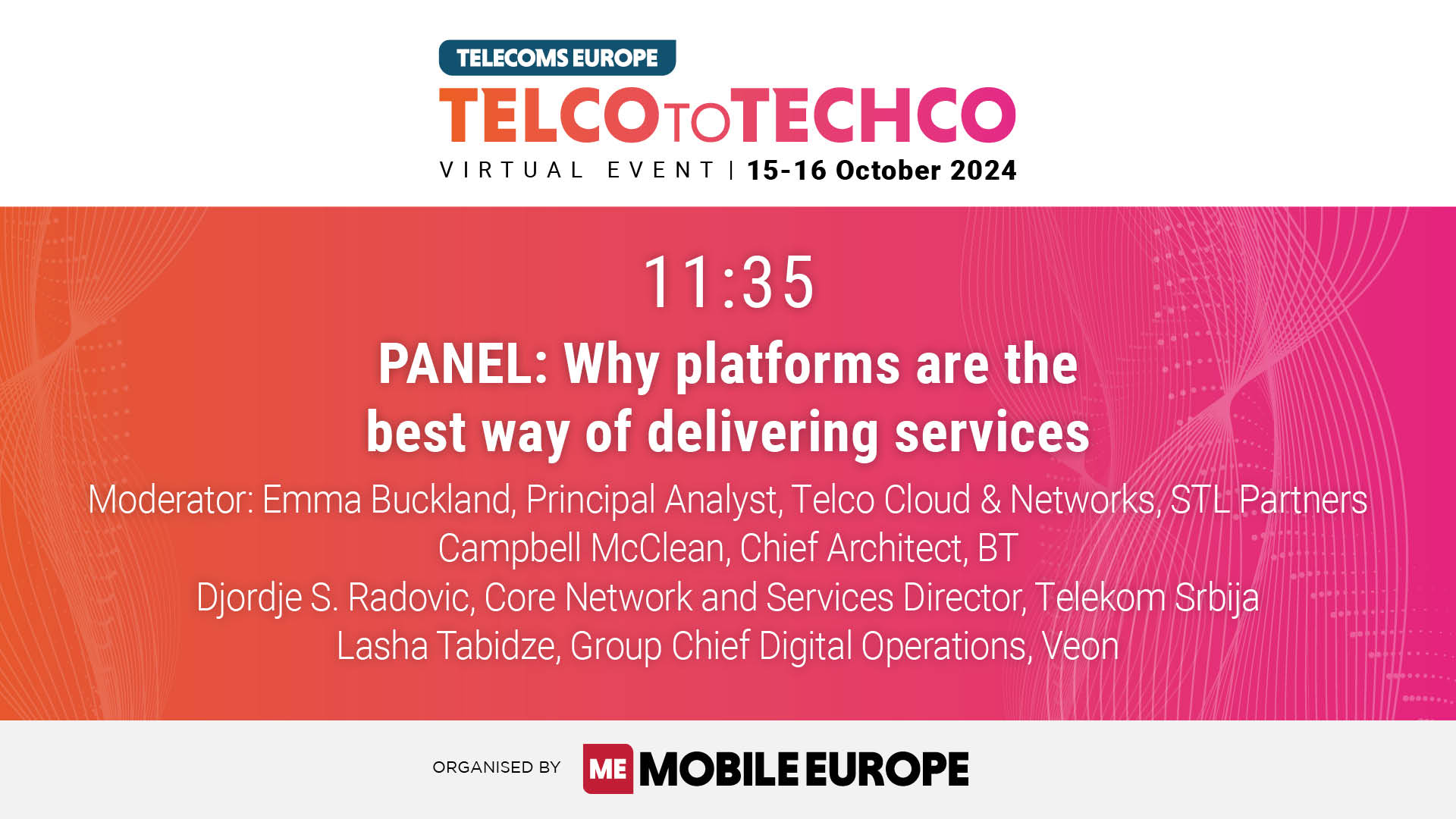 Telco to Techco - October 2024 | PANEL: Why platforms are the best way of delivering service ...